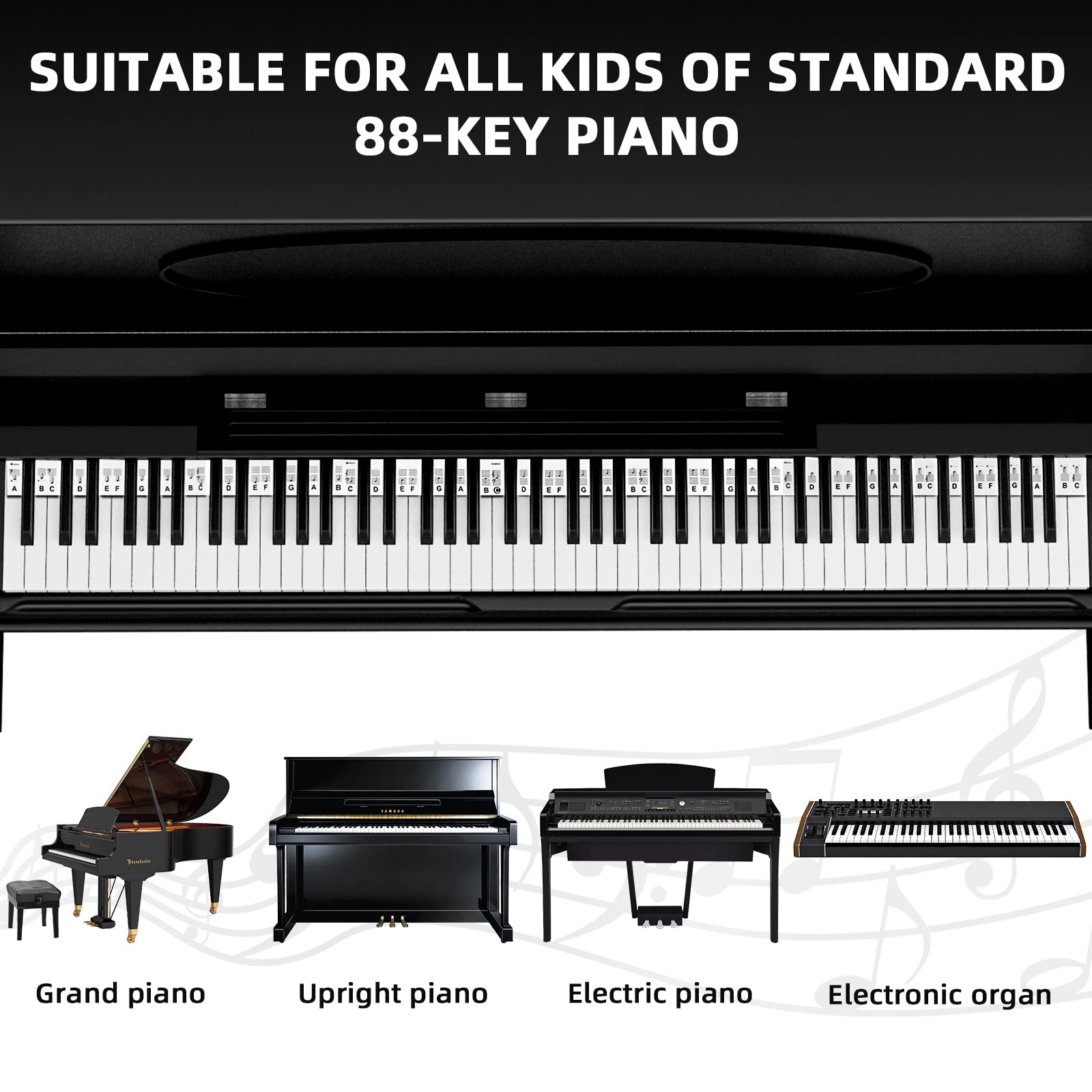 Fansoun Piano Notes Guide for Beginner, Removable Piano Keyboard Stickers for Learning, for 88-key Full size, Made of Silicone, Reusable and Piano Gifts for Beginner