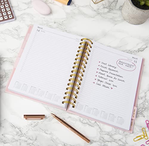 Collins Scandi Academic 2023-24 A5 Day To Page Mid Year Diary Planner School, College or University Term Journal - August 2023 to August 2024 - Grey - PW51M.GEGY-2324