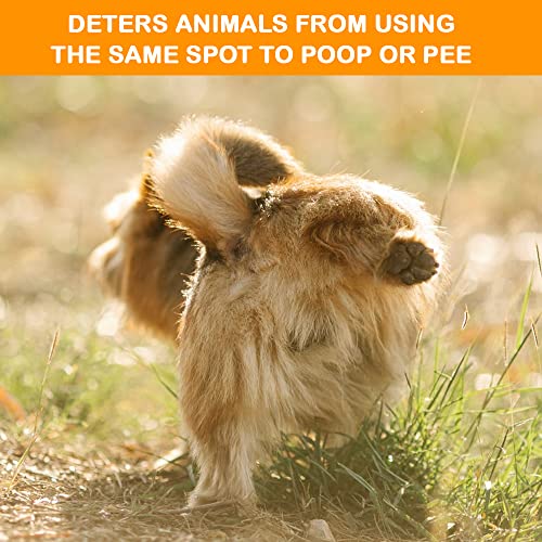 MICROBE-LIFT Outdoor Pet Odor Eliminator For Strong Odor On Turf, Patios, Deck, and Lawns - Keeps Pets From Going in Same Spot, 32oz