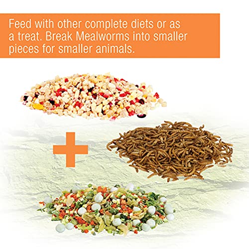 Zilla Reptile Food Munchies Mealworms for Pet Bearded Dragons, Leopard Geckos, Chameleons, Large Tropical Fish & Birds, 3.75-Ounce