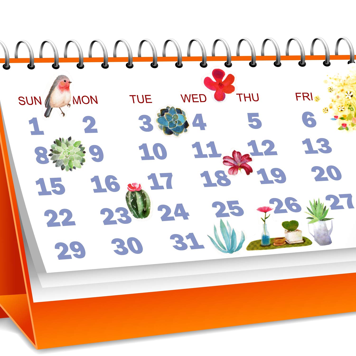 Chuangdi 48 Sheets Cactus Stickers Plant Flower Decorative Stickers Journal Planners Stickers for Party Holiday Supplies