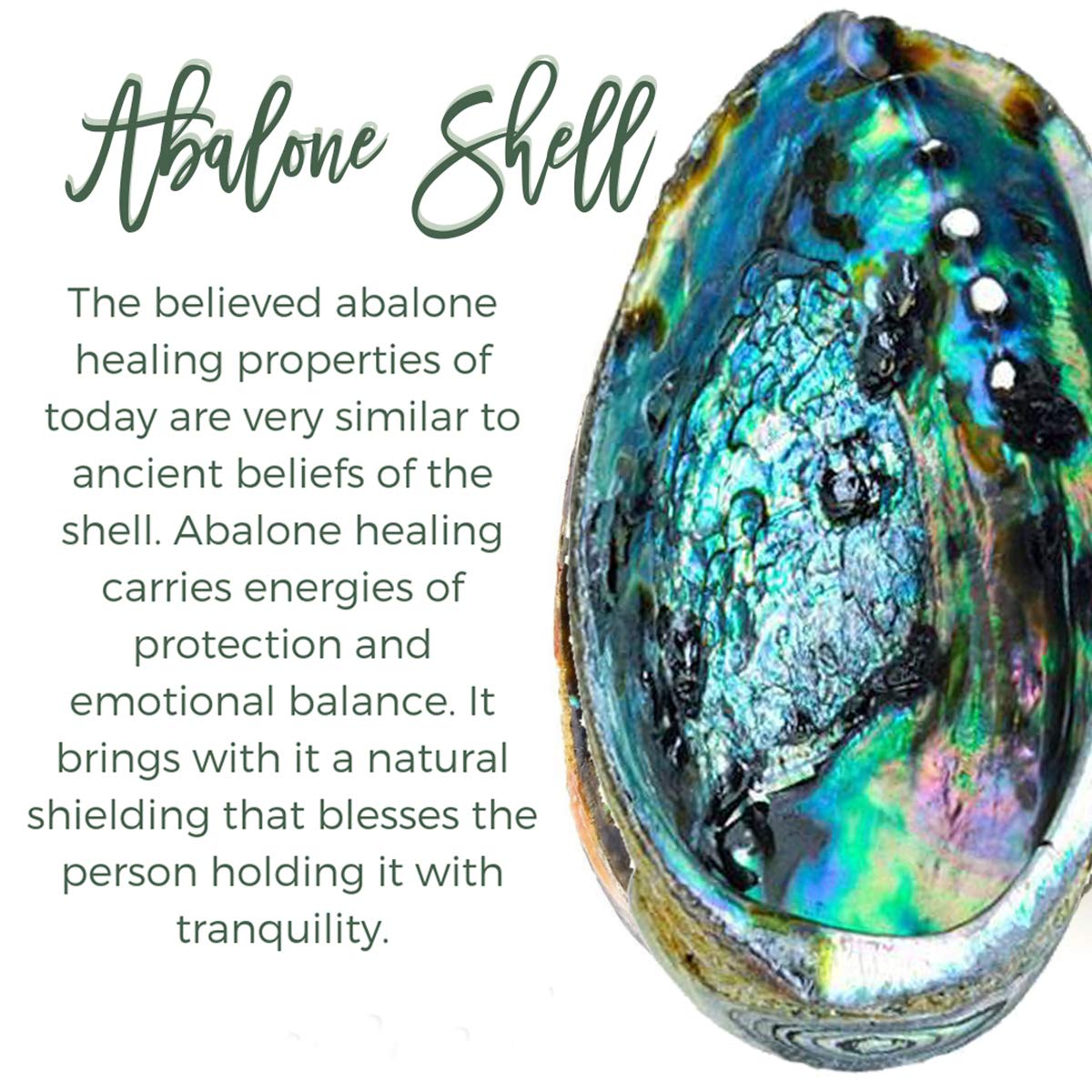 Wire Wrapped Abalone Teardrop Necklace - Handmade Silver Abalone Shell Water Drop Tree of Life Pendent Jewelry for Women