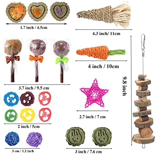 RUNANIA 20 Pcs Rabbit Chew Toys for Teeth, Natural Wood Sticks Timothy Chew Toys for Rabbit Bunny Guinea Pig Hamster Chinchilla