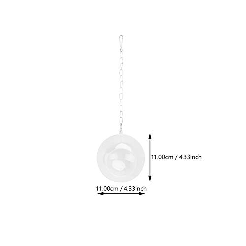 Mipcase 2 PCS Parrot Feeder Toy Bird Foraging Toy Parrot Forager Toy Bird Foraging Feeder Clear Pet Birds