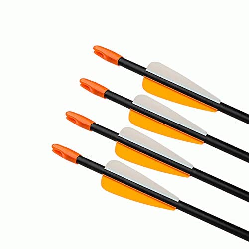 CQ 28inch Target Archery Arrows Practice Fiberglass Arrows for Recurve Bow Training Arrows for Kids Youth and Teens-12pcs Pack(Orange)