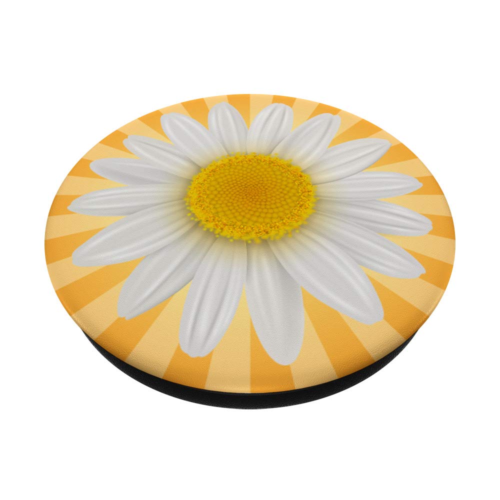 Cute White Flower Daisy With Yellow Sun Ray Background