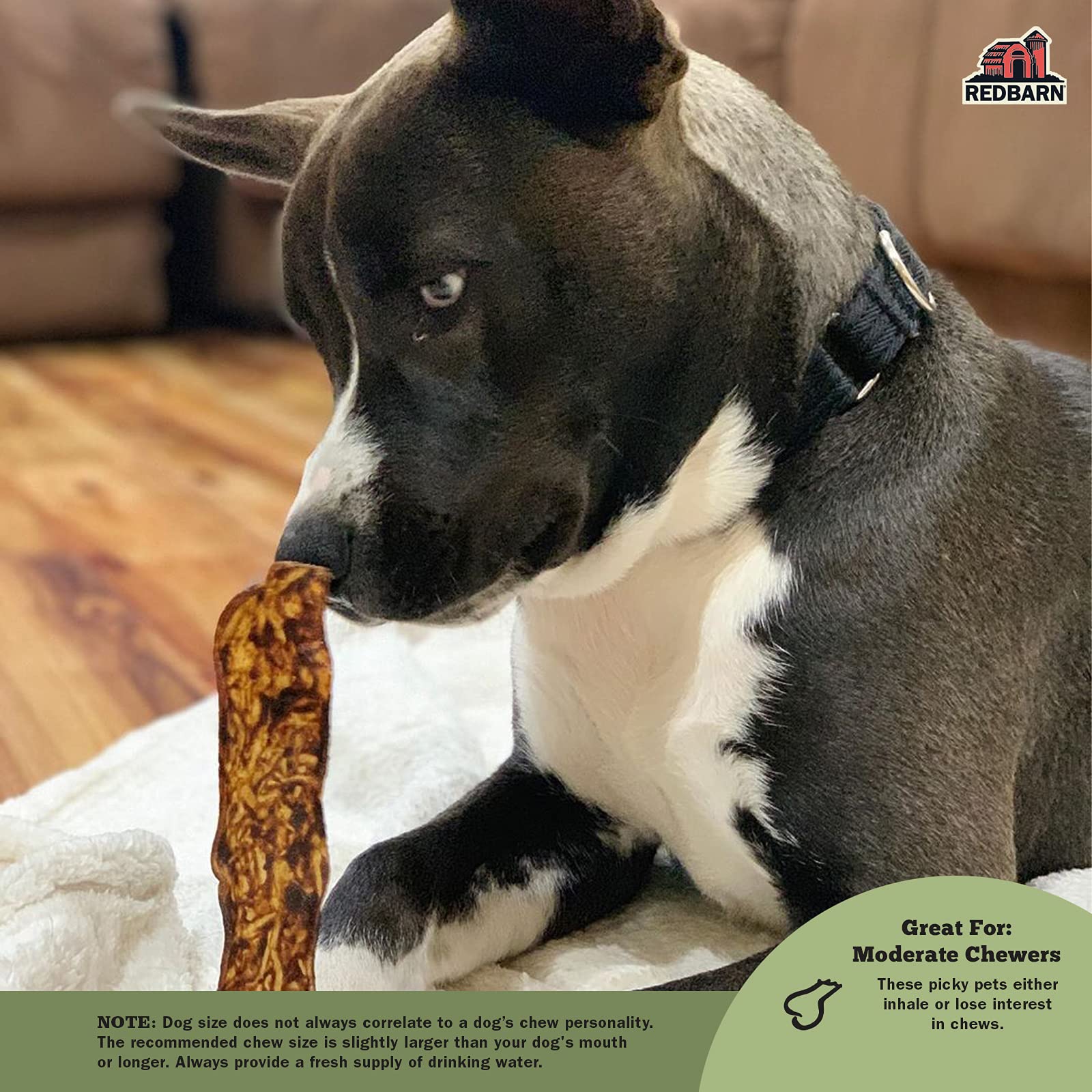 Redbarn Bully Slices for Dogs | Highly Palatable, Long-Lasting Natural Dental Treats with Functional Ingredients, 9 oz. (Pack of 6) - French Toast