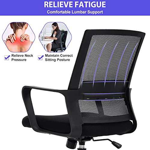 Pazidom Home Office Chair Mesh Chair Desk Chair Work Chair Computer Chair Rolling Chair with Arms for Home Office, Black