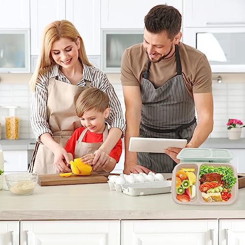 Luriseminger 4 Pack Bento Lunch Box,2 Compartment Snack Containers,Meal Prep Containers Kids/Toddle/Adults,Food Storage Containers for School, Work and Travel (2 Compartment-Multicolor)