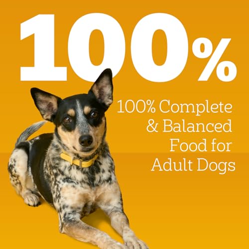 Pedigree Chopped Ground Dinner Weight Management Wet Dog Food Chicken & Rice Dinner in Meaty Juices, 13.2 oz. Cans 12 Count