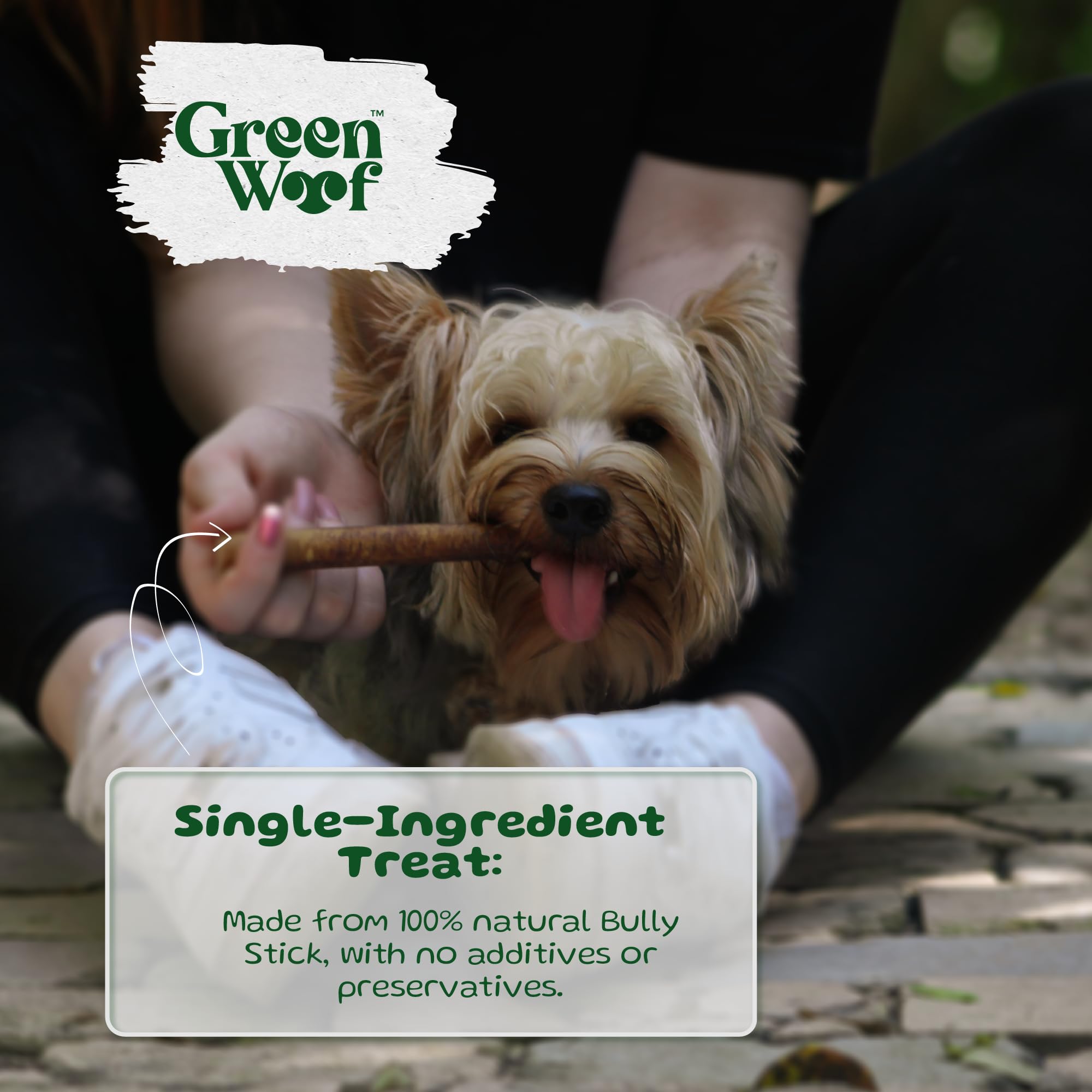 Green Woof, Bully Sticks (6 Inch), Easily Digestible 100% Pure Beef Treats, Pasture-Raised, Organic, Grain-Free, Durable and Long-Lasting Chews for Medium & Large Dogs (Medium, 10, Count)