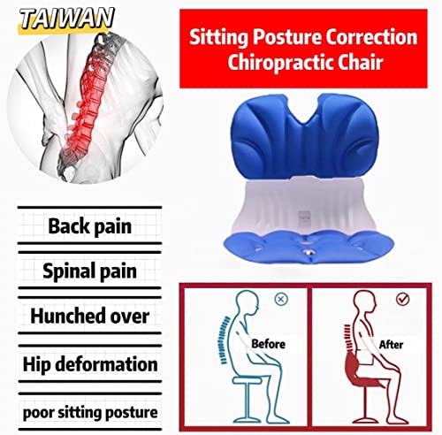 Taiwan Hip Comfortable Lumbar Back Support. Perfect for Home, Office, Desk Chair. Technology for Pelvic Correction. Low Back (Grey) Pain Relief