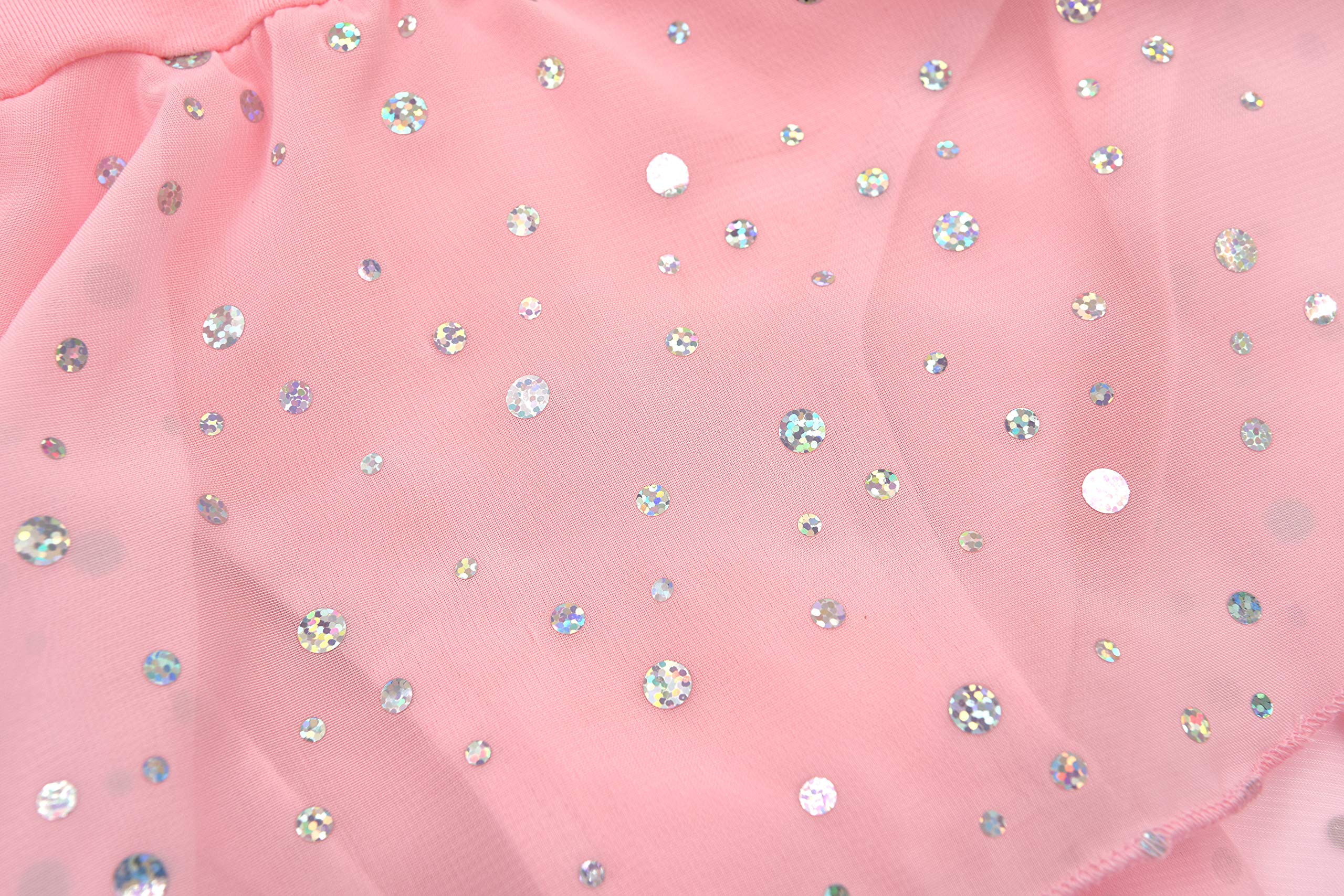 DANSHOW Ballet Leotards for Girls Dance Camisole Dress with Shiny Tutu Skirt(4041-08-M)
