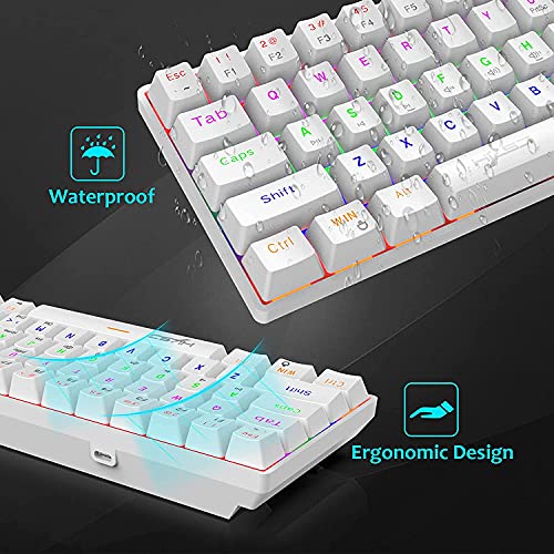 Compact Mechanical Gaming Keyboard Mini Portable with Ergonomic 61 Key Layout Multi Rainbow LED Backlight Anti-ghosting Waterproof Type-C USB Wired for PC MAC Gamer Computer Typist(White/Blue Switch)