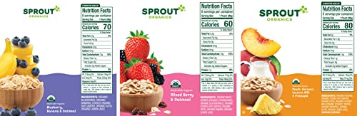 Sprout Organics, Stage 2 Variety Pack, Blueberry Banana Oatmeal, Mixed Berry Oatmeal & Peach Oatmeal with Coconunt Milk, 6+ Month Pouches, 3.5 oz (18-count)