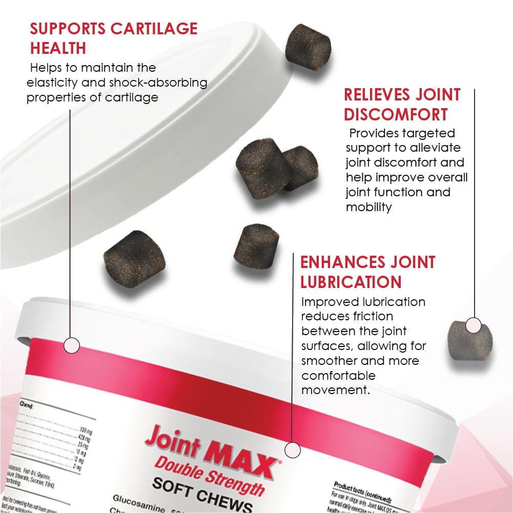 Joint MAX Double Strength Soft Chews for Dogs - Vitamins, Minerals, Antioxidants - Glucosamine, Chondroitin - Beef Flavor - Maximum Joint Health Supplement - 120 Chews