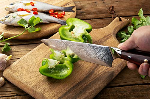 FANTECK Chef Knife 8 Inch Professional Damascus Chef Knife High Carbon 67 Layers VG-10 Damascus Knife Stainless Steel Ultra Sharp Blade Kitchen Meat Cutting Knife [Gift Box]-Ergonomic Rose Wood Handle