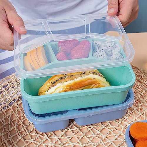 Meal Prep Container Microwave Safe, 4 Pack Bento Lunch Box, 4-Compartment Snack Container for School Work Travel, Lunch Containers for Adults, Bento Box for Kids, Reusable Dishwasher Safe