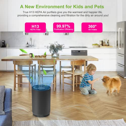Muliap Air Purifiers For Bedroom Home, H13 HEPA Filter,Remove 99.97% Smoke, Pet Dander, Odor, Dust,24dB Quiet Sleep Air Purifier,2 Level Nightlight Air Purifiers,White KJ80.