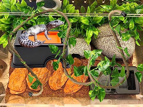Woyrise Reptile Hide Box with Sink Humidifier Gecko Hideout Cave Lizards Hideaway with Flexible Vine Decor and Bowl for Bearded Dragons Lizards Spiders Snakes