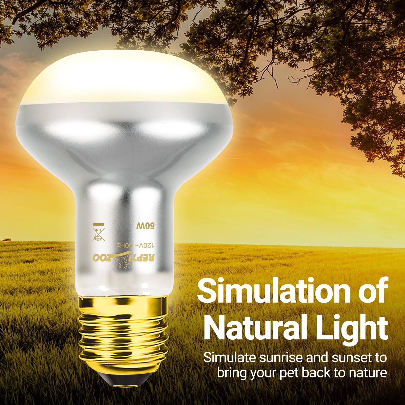 REPTI ZOO 50W Reptile Heat Lamp Bulb,2 Pack Intense Spot Basking Light,UVA Daylight Heating Lamp Bulb for Reptile & Amphibians & Chicken Brooder,Bearded Dragon, Lizard, Tortoise