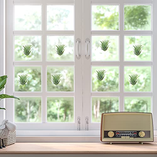 Jetec 12 Pcs Air Plants Holder, Acrylic Air Plant Hanger with Mounting Tape for Hanging Air Plants on Glass Display Home Decoration, Plants Not Included