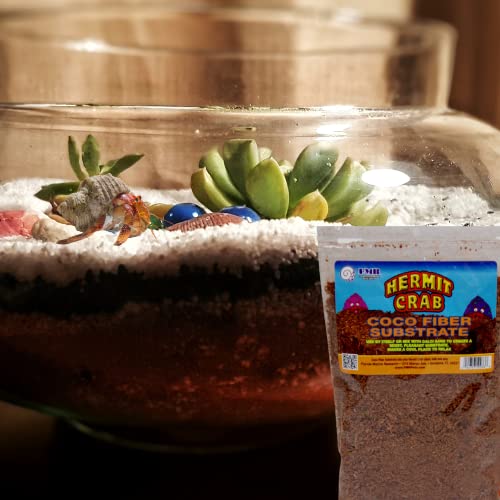 Needzo Natural Terrarium Supplies for Hermit Crabs and Reptiles, Loose Coco Fiber Substrate, 2 Pound Sand Bag, and Scooper Sifter, Bulk Terrarium Supplies, 3 Items