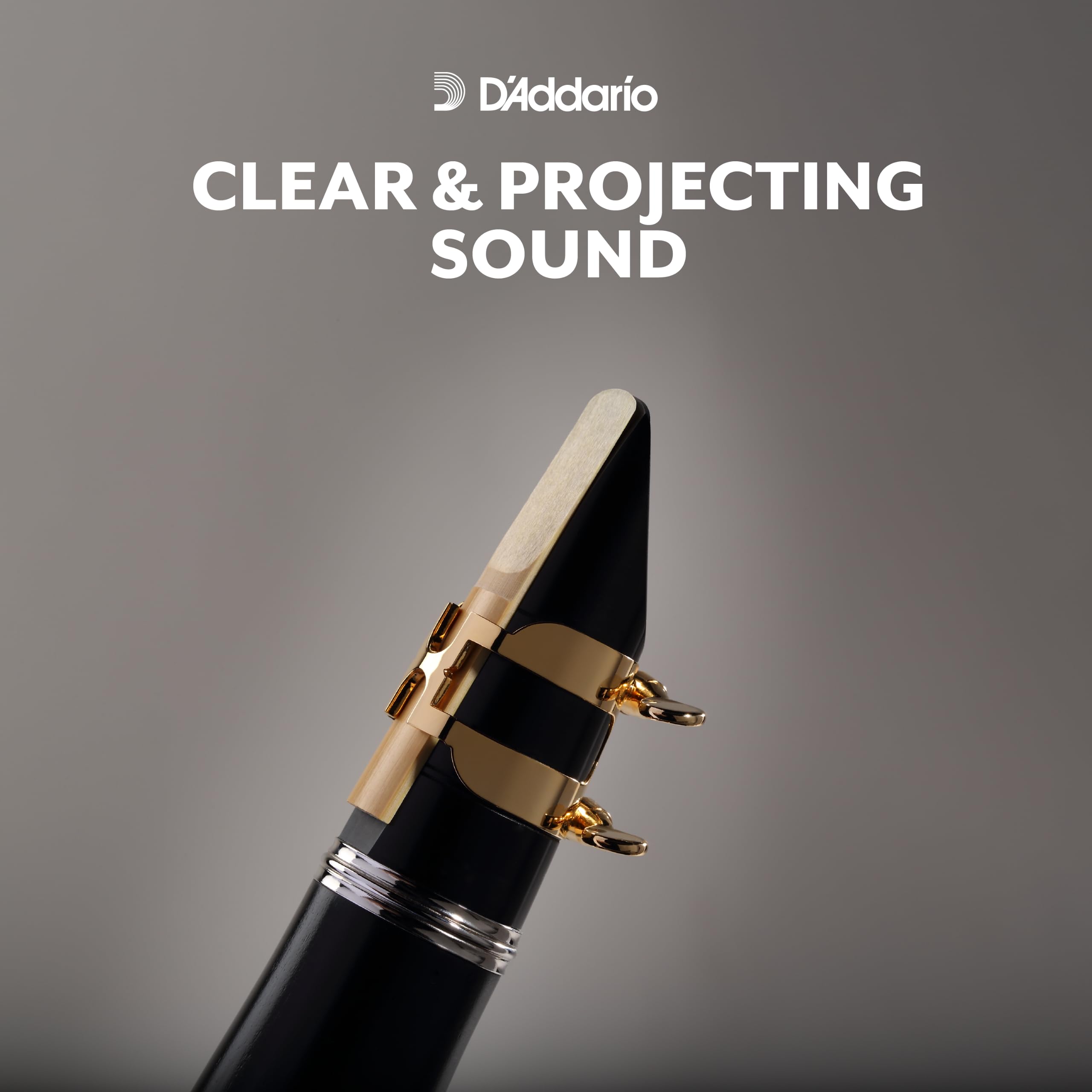 D’Addario Woodwinds - Rico Bass Clarinet Reeds - REA1030 - Strength 3.0, 10-Pack