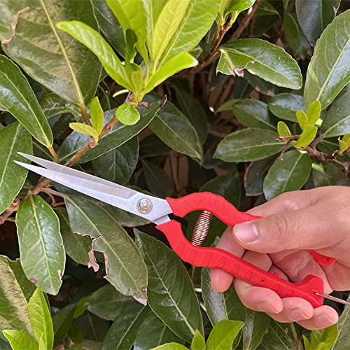 Extra Long Garden Scissors Gardening Tools Micro-Tip Pruning Shears, Non-Stick Precision-ground Blades, 9.6β Sharp Plant Fruit Trees Bonsai Sharp Garden Scissors