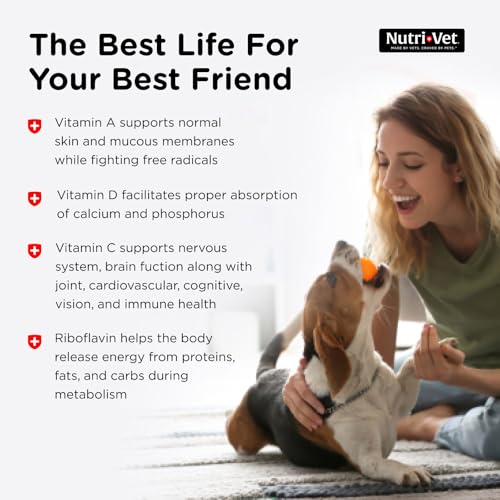 Nutri-Vet Multi-Vite Chewables for Dogs | Daily Vitamin and Mineral Support to Help Maintain Peak Condition | 60 Count