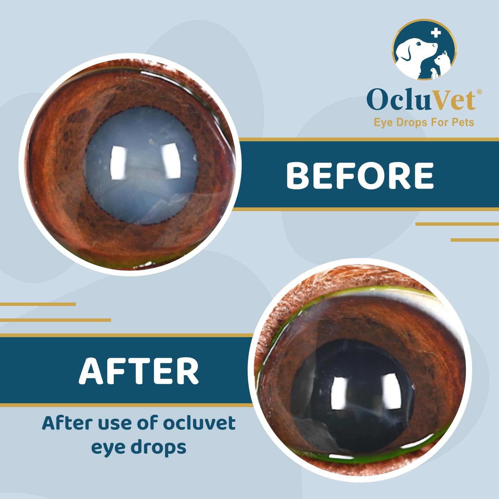 OcluVet Eye Drops for Pets | Clinically Studied Antioxidants for Pets with Cataracts | Made in The USA | Includes 2% N-Acetyl-L-Carnosine (NAC) | 16mL