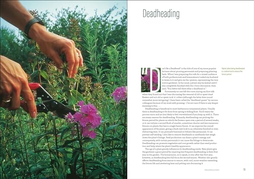 The Well-Tended Perennial Garden: The Essential Guide to Planting and Pruning Techniques, Third Edition
