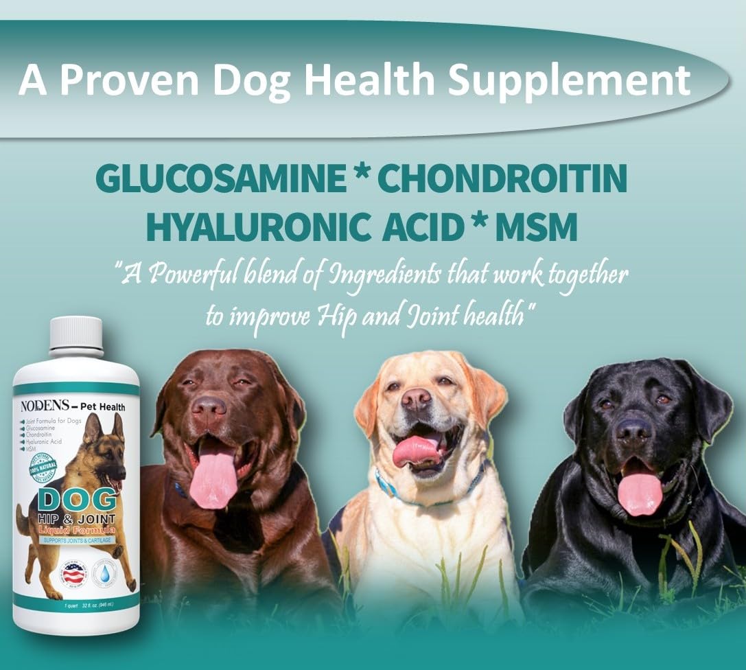 NODENS Dog Hip and Joint - Concentrated Glucosamine for Dogs with Chondroitin – Dog Joint Supplement for Natural Dog Pain Relief Anti-inflammatory for Improved Joint Flexibility and Mobility - 942 ml