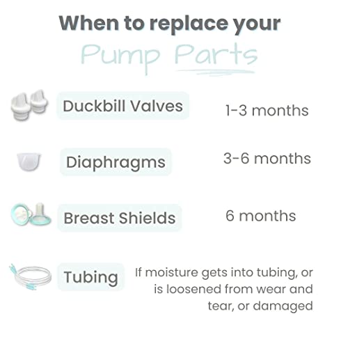 Zomee Z1 Double Electric Breast Pump | Milk Flow Stimulating Massage Mode and 9 Comfortable Suction Levels | LCD Screen | Rechargeable | Portable