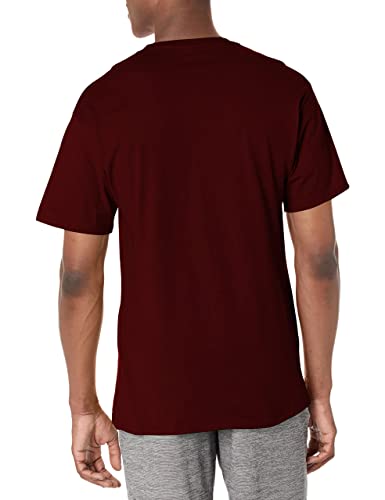 Champion mens Classic Jersey Tee Shirt, Maroon, XX-Large US