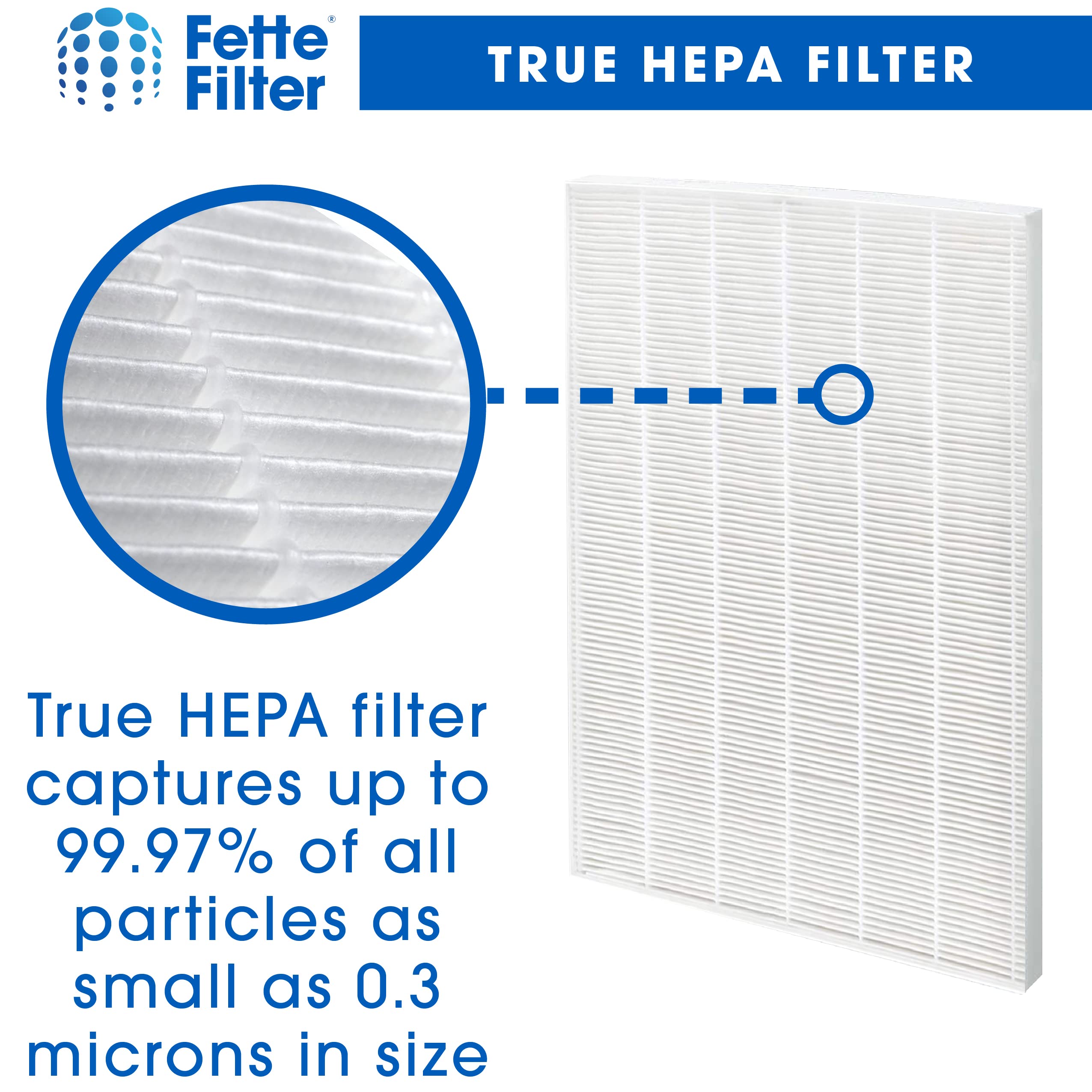 Fette Filter - D480 Premium True Hepa H13 Replacement Filter D4 Compatible with Winix D480 Air Purifier Part Number 1712-0100-02, 1712010002. 2 True Hepa and 8 Activated Carbon Filter