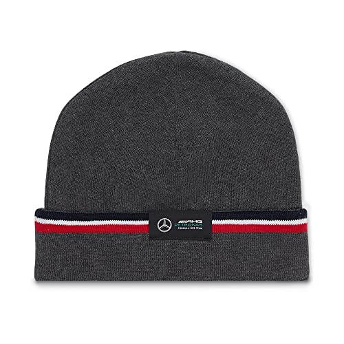 Mercedes AMG Petronas Formula One Team - Official Formula 1 Merchandise - 2022 Team Beanie - Grey - One Size