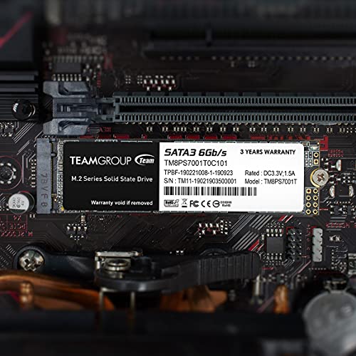 TEAMGROUP MS30 256GB with SLC Cache 3D NAND TLC M.2 2280 SATA III 6Gb/s Internal Solid State Drive SSD (Read/Write Speed up to 500/400 MB/s) Compatible with Laptop & PC Desktop TM8PS7256G0C101
