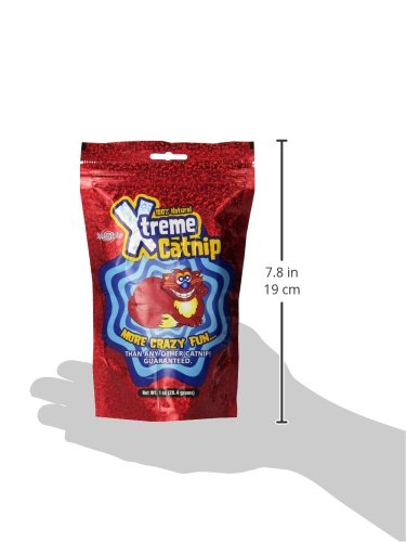 Xtreme Catnip Leaf, 1 oz. β 100% Natural Organically Grown, Super Concentrated Catnip Leaves β Non-Addictive, Fun Cat Treat β Use on Toys, Scratching Posts, Food and More