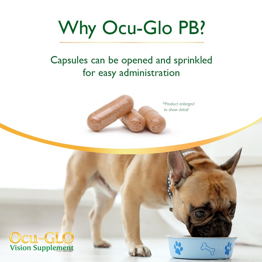 Ocu-GLO PB Vision Supplement for Medium & Large Dogs – Easy to Administer Powder Blend with Lutein, Omega-3 Fatty Acids, Grape Seed Extract & Antioxidants to Promote Eye Health, 90ct Powder Capsules