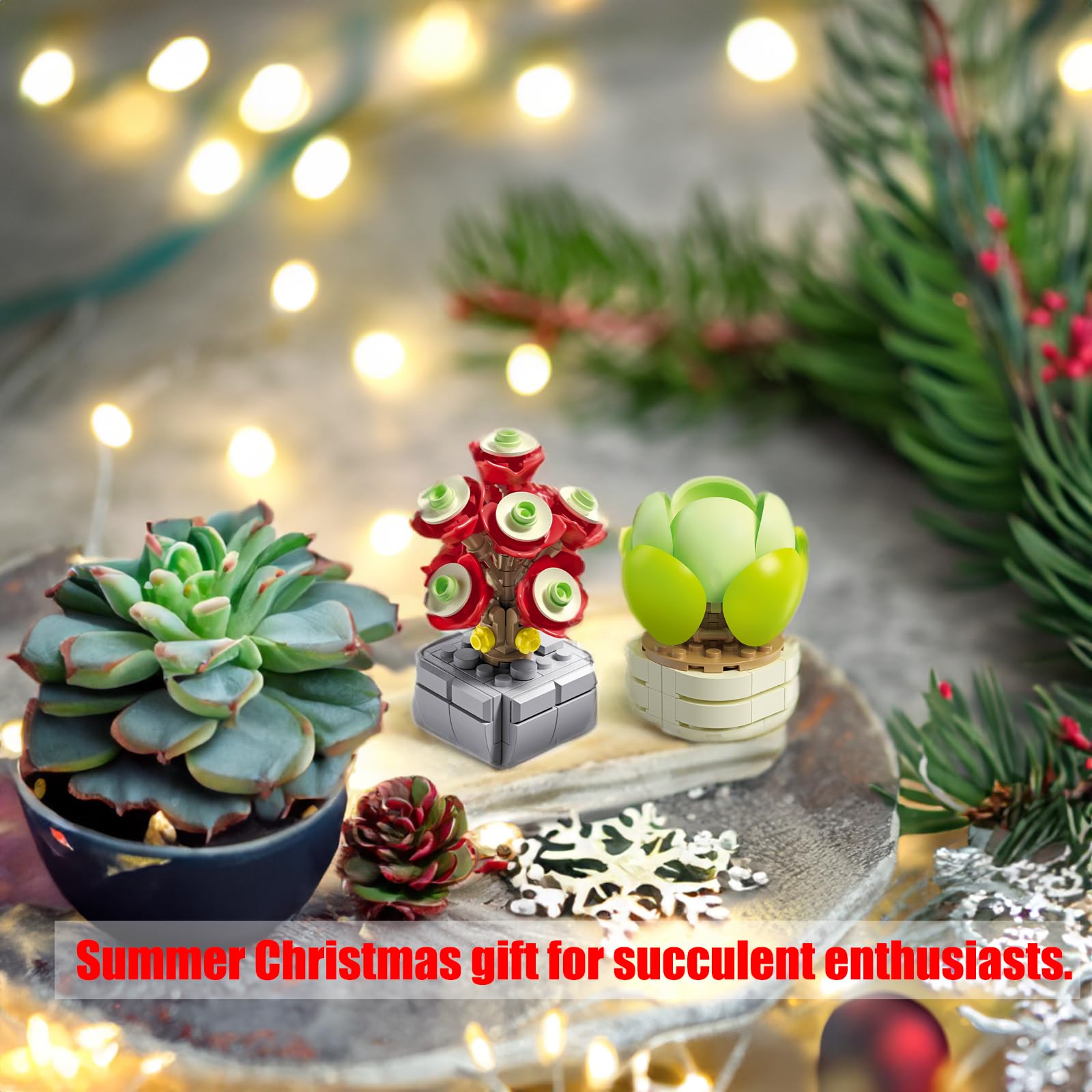 Feelo STEM Succulents Plants Building Set Mini Bricks Bonsai Model Christmas Brithday Gifts for Kids, Boys Girls Gift(2 Set)