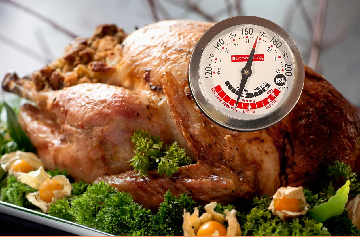 Everday Living Meat Thermometer