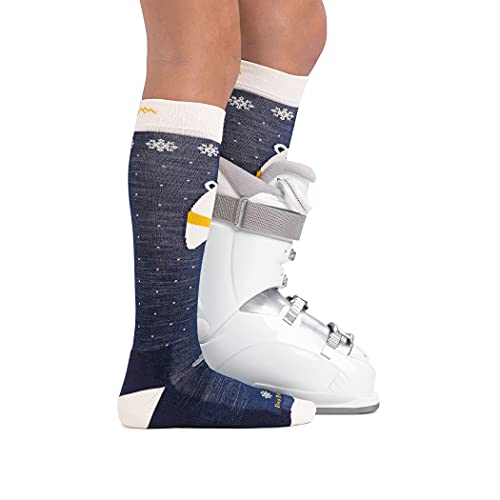 Darn Tough 1891-C-9003-04 Polar Bear OTC Midweight with Cushion Blue Medium