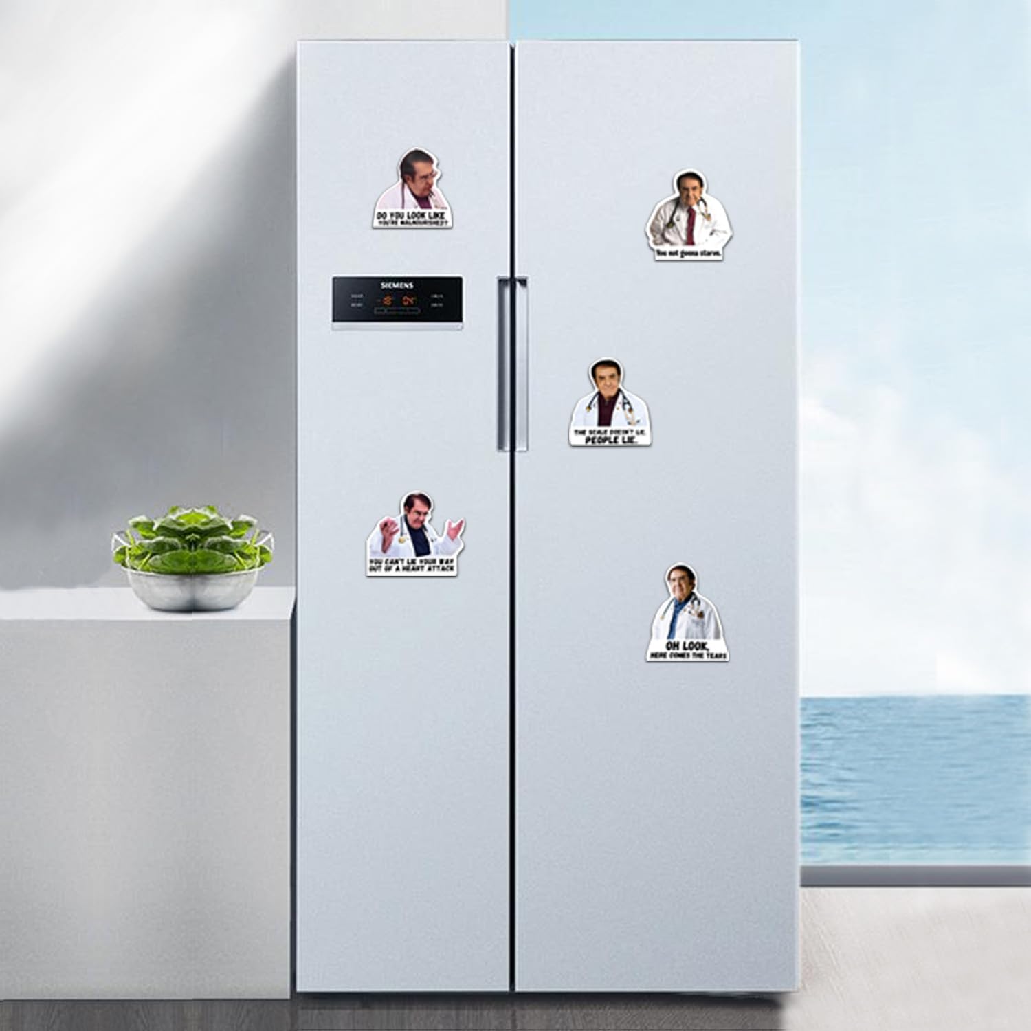 Generic 5 PCS Dr Now Magnets Fridge, Funny Kitchen Fridge Magnets, Cute Diet Magnet Fridges, Funny Magnets Fridge Dector for Gifts, JC027-CXG