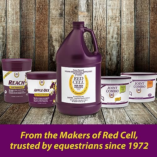 Horse Health Apple-Dex Apple Flavored Electrolytes for Horses, Replaces minerals lost during exercise, under stress or extreme weather conditions, 5 pound