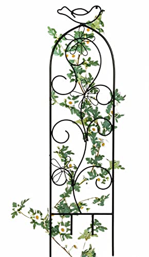 Hosley Set of 2 Iron Wave Pot Trellis 28 Inch High. Ideal Gift for Wedding or Party and Use Next to Structures Home or Office or in Planters for Growing Floral Plants Vines and Vegetables O4