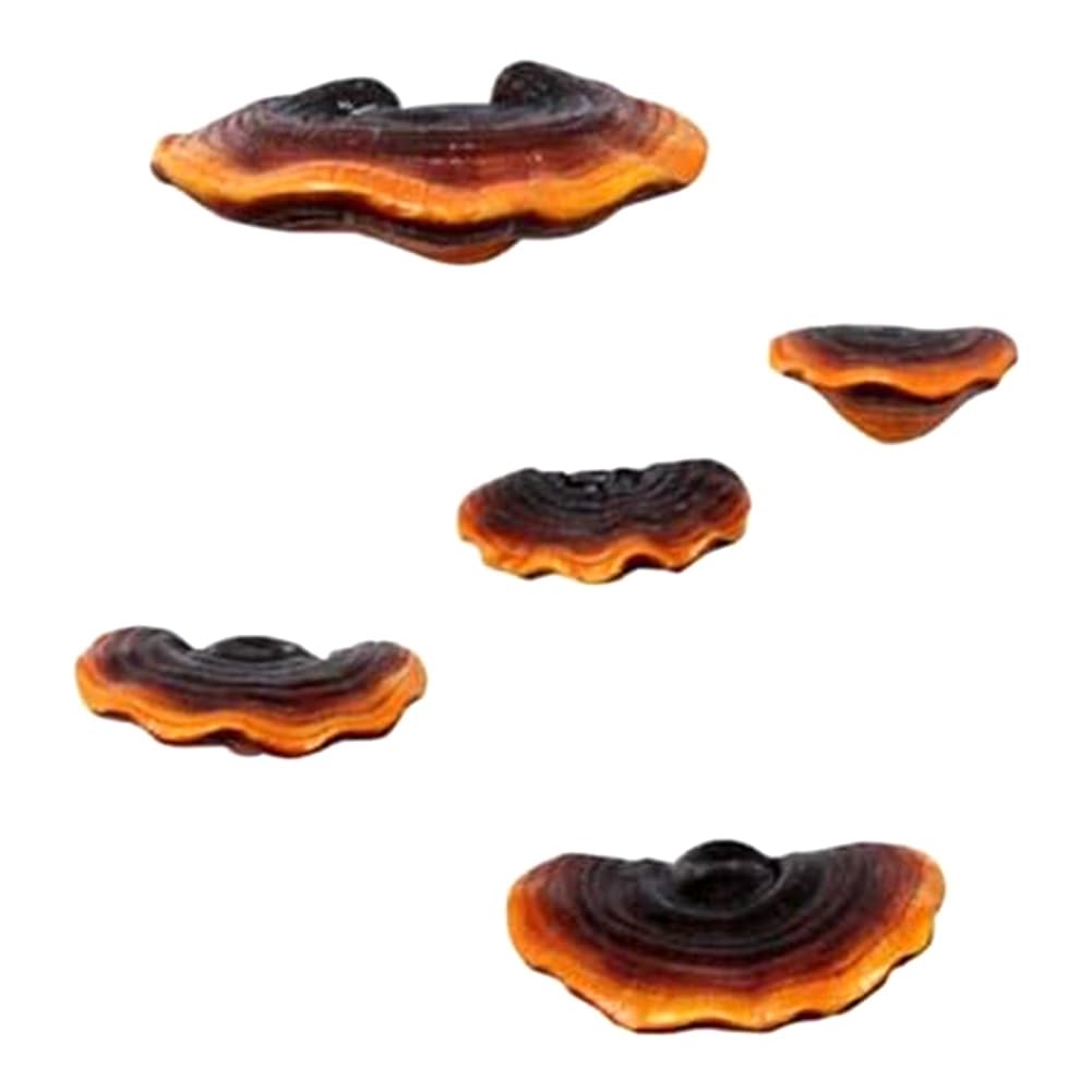 Lizusidtsy 5 PCS Mushroom Shelf Wall Decor Small Wall Shelf Corner Wall Decor As Shown for Bedroom Mushroom Decor Floating Shelves