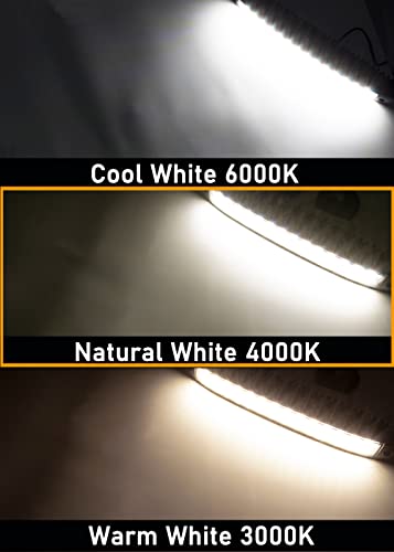 Raycharm 15.4" RV Low-Profile LED Work Light Fixture, 40° Down Angle Focused Flood Beam, 4000K Natural-White Super Bright, High Light-Output Low Ampere, Aluminum Housing Black Finish, 12V/24V, 1-Pack