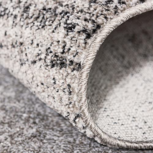Rugs.com Angelica Collection Rug β 9' x 12' Light Gray Medium Rug Perfect for Living Rooms, Large Dining Rooms, Open Floorplans