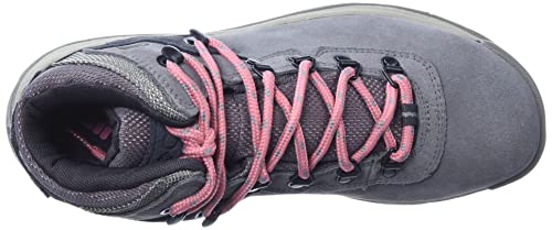 Columbia Women's Newton Ridge Plus Waterproof Amped, Stratus/Canyon Rose, 8.5